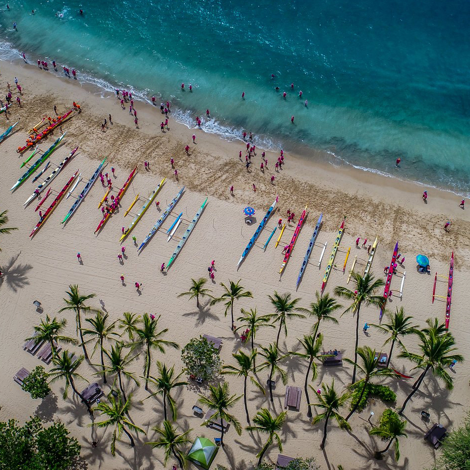 PADDLE for LIFE - Login